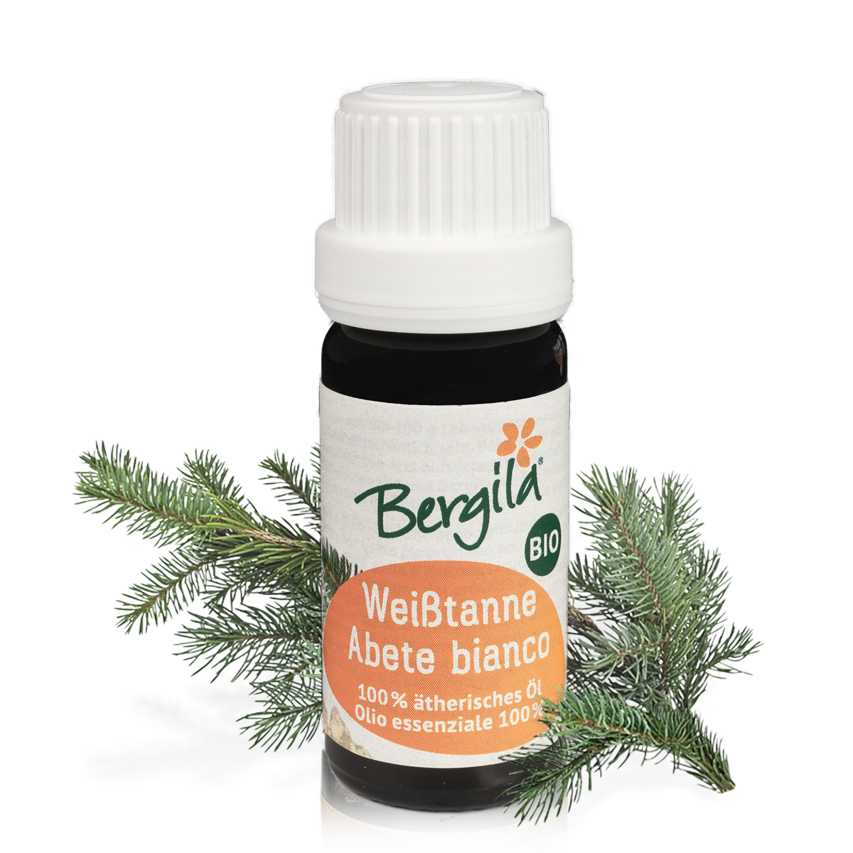 Bergila Weißtanne Bio Ätherisches Öl abies alba